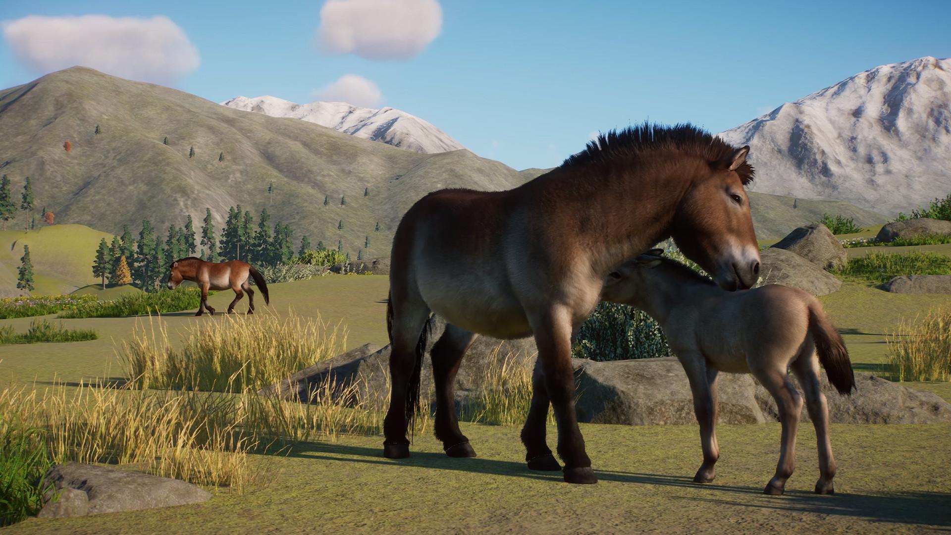 Planet Zoo: Conservation Pack | Promote Wildlife Preservation in Your ...