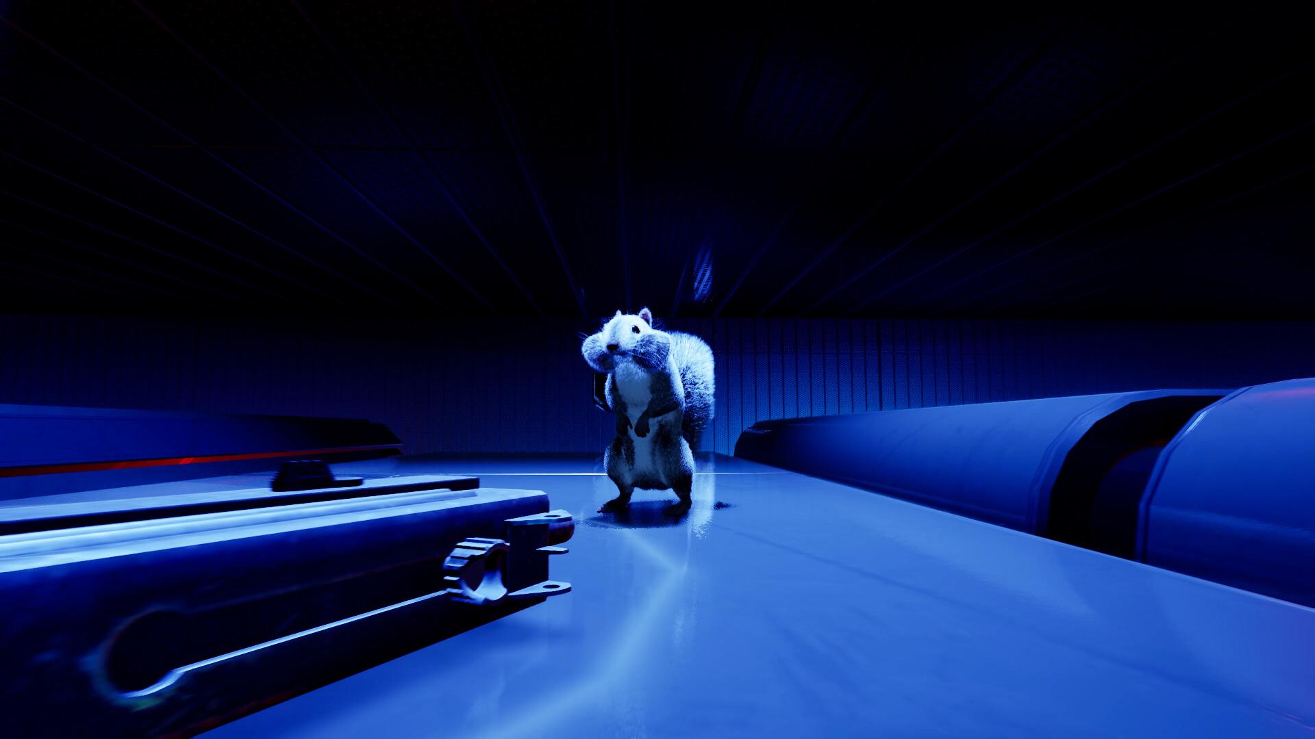 Squirrel with a Gun Steam Key | ALLYOUPLAY