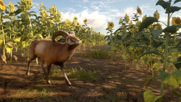 theHunter: Call of the Wild™ - Cuatro Colinas Game Reserve